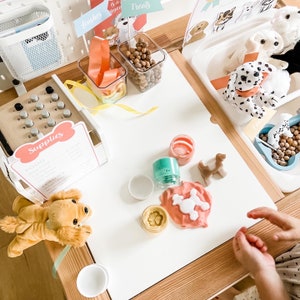 Adoption Day, Adopt-a-dog Dramatic Play Kit for Toddlers Preschoolers ...