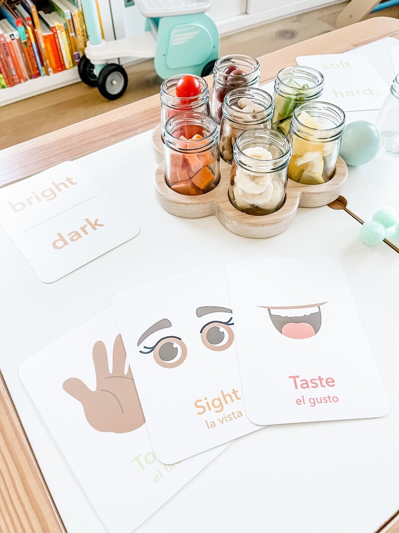 Five Senses Learning Cards Sight Taste Smell Touch Sound - Etsy