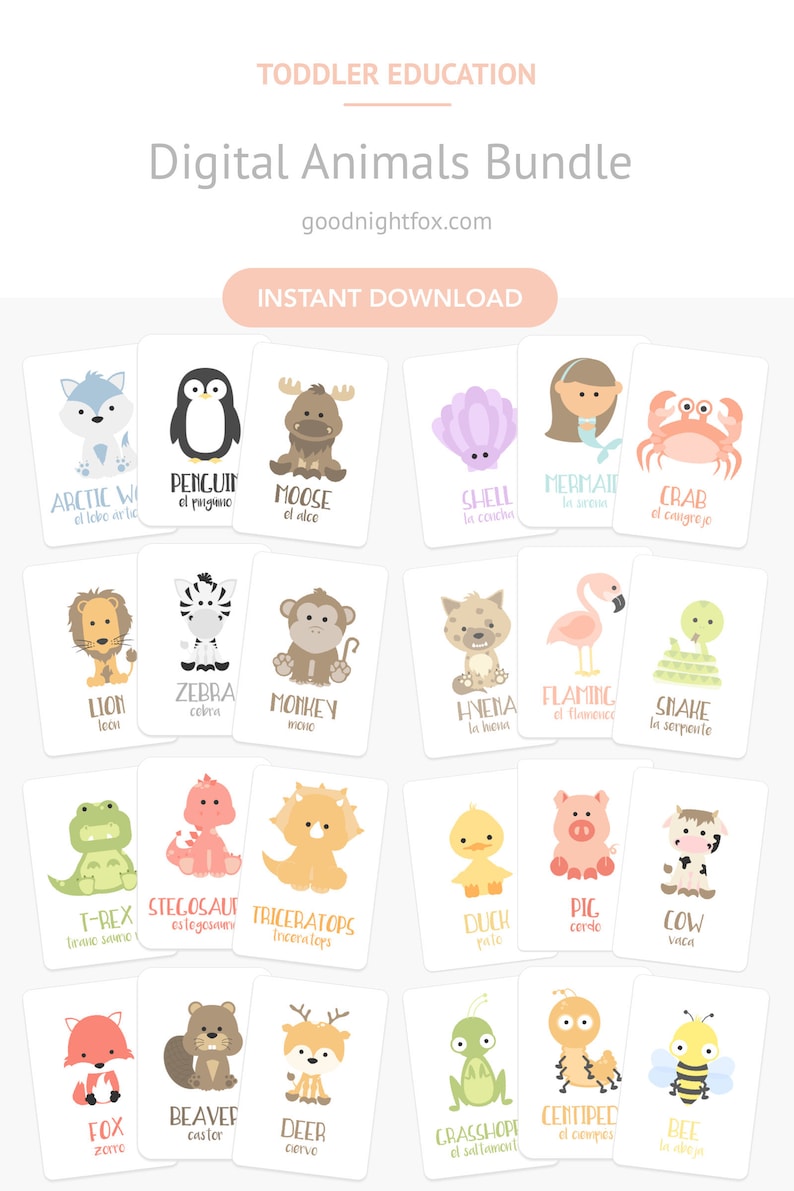 Digital Flashcard Animals Bundle Quiet Toddler Activity - Etsy