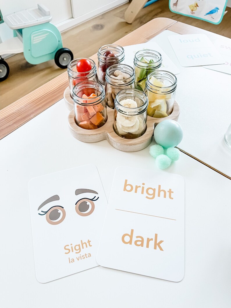 Five Senses Learning Cards, Sight, Taste, Smell, Touch, Sound - Etsy