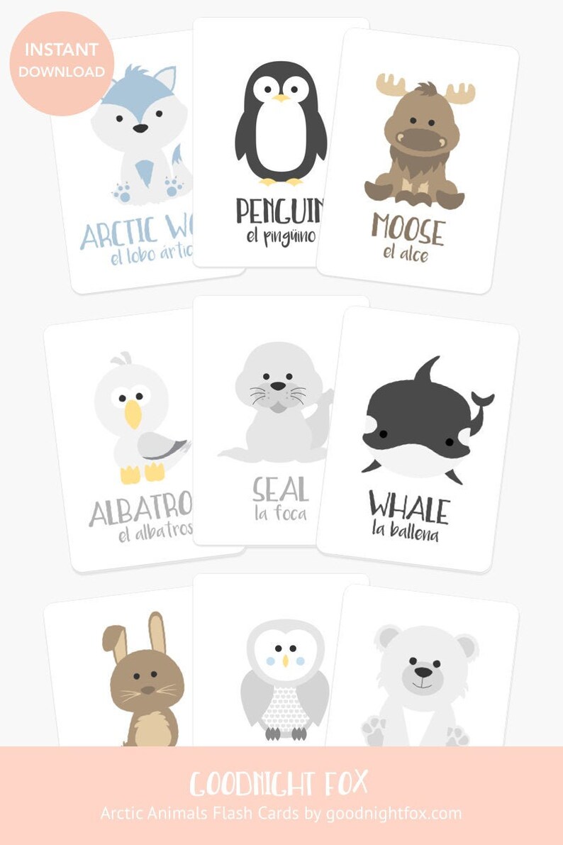 Arctic Animals Flash Cards, Montessori Toddler Education (PDF) - Etsy