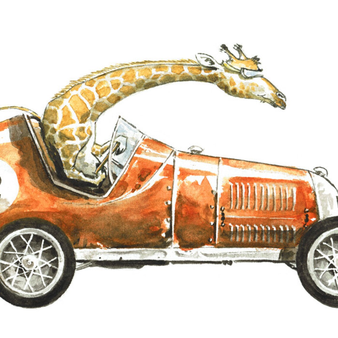 Set of 4 Vintage Race Car With Animals Driving Watercolor - Etsy