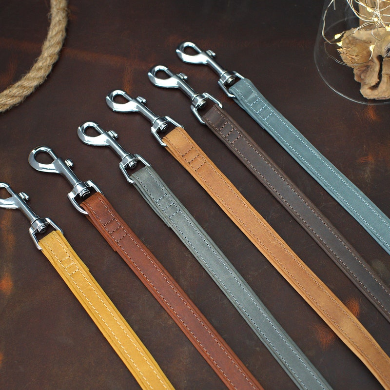Custom Dog Leash - Etsy