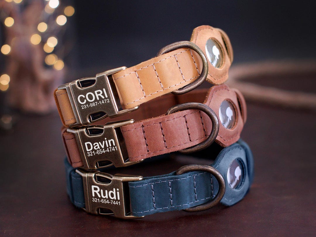 Leather Dog Collar With AirTag Holder, Adjustable GPS Pet Tracker ...