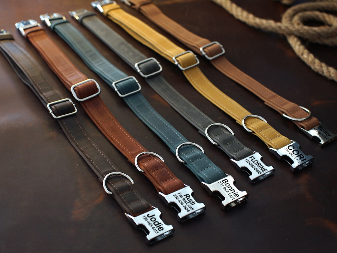 Personalized Leather Dog Collar With Name, Engraved Dog Collar ...