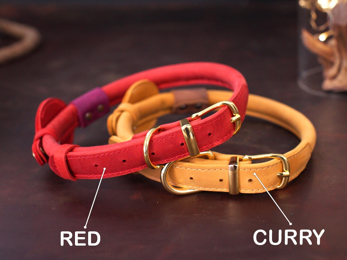 Rolled Leather Dog Collar With AirTag Holder, Reflective Round AirTag ...