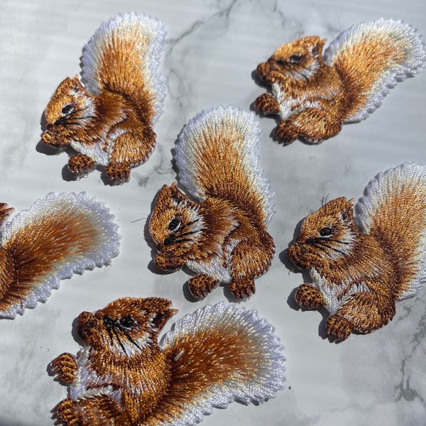 Squirrel Applique - Etsy