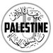 Palestinian Kufiyah Clean Patterns High Resolution Digital Files-jpg ...