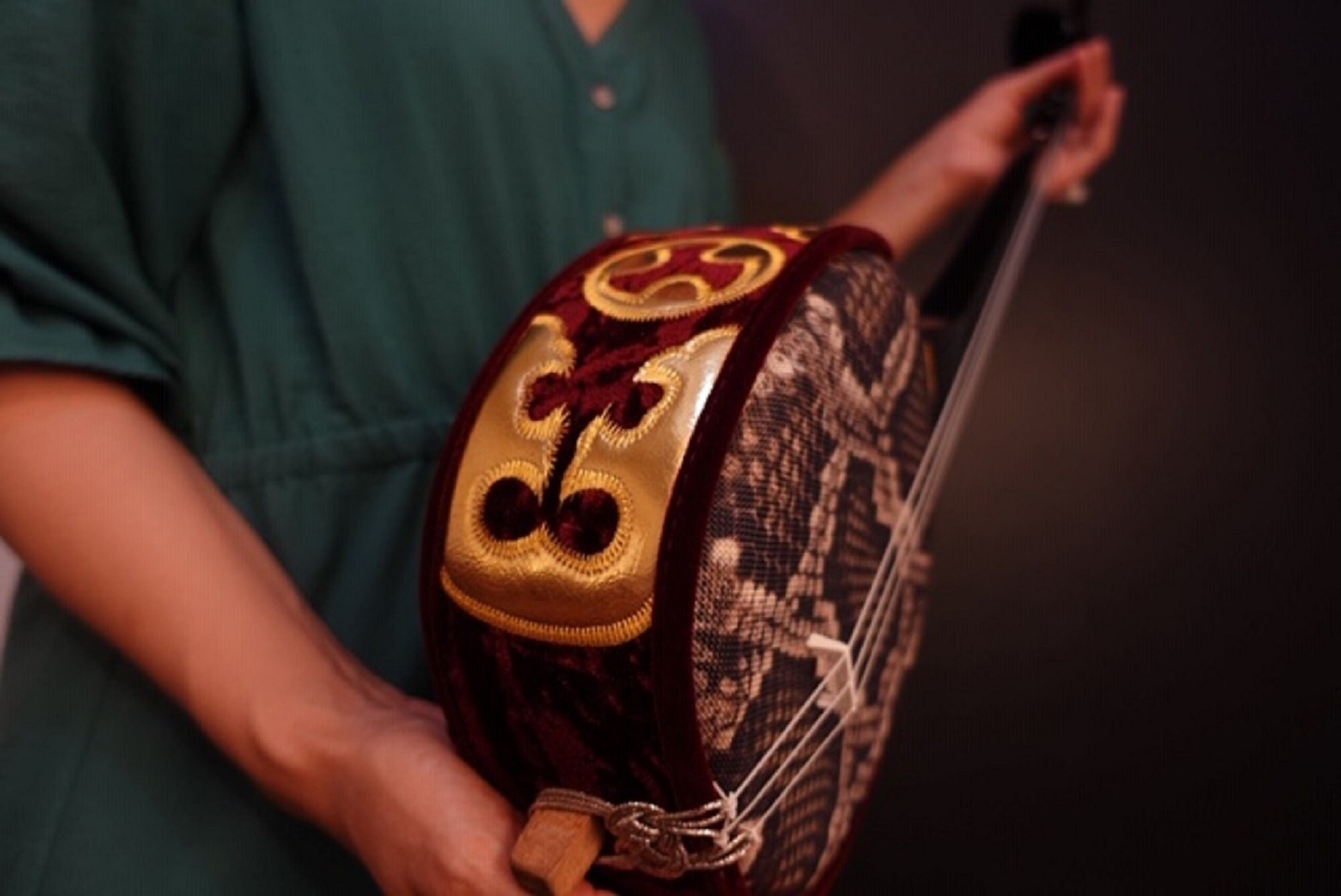 Okinawa Sanshin Okinawa Shamisen Okinawa Guitar Japanese Shamisen ...