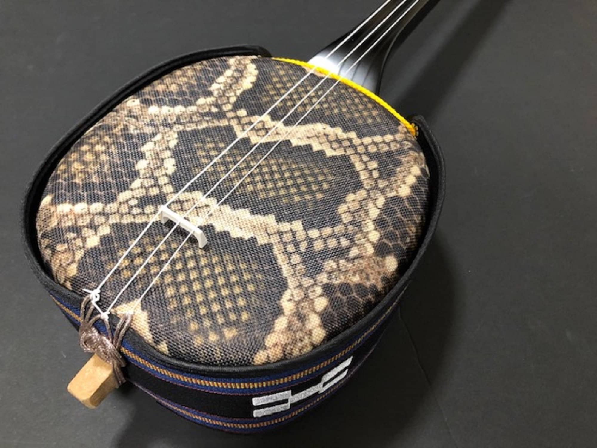 Okinawa Sanshin Okinawa Shamisen Okinawa Guitar Japanese Shamisen ...