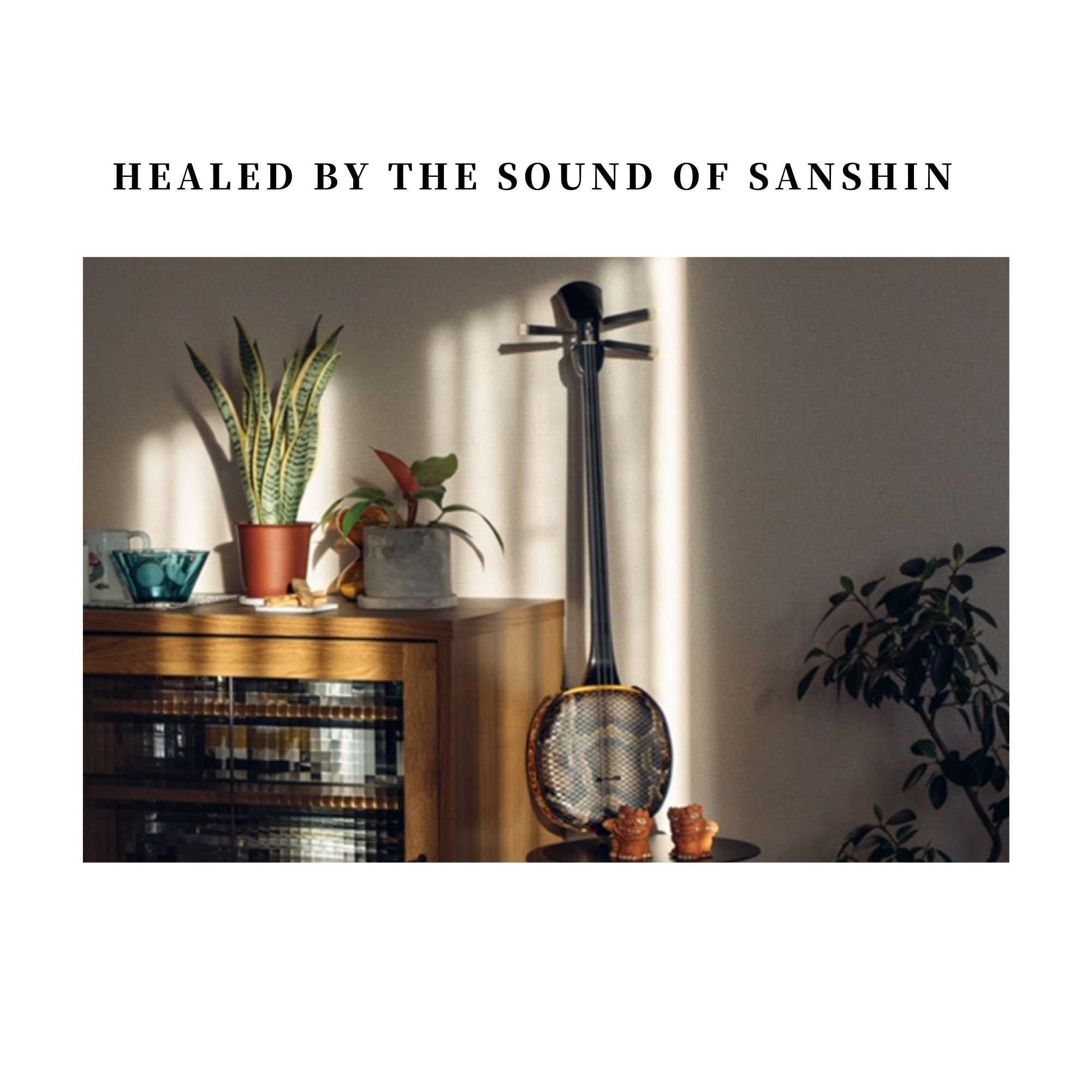 Okinawa Sanshin Okinawa Shamisen Okinawa Guitar Japanese Shamisen ...