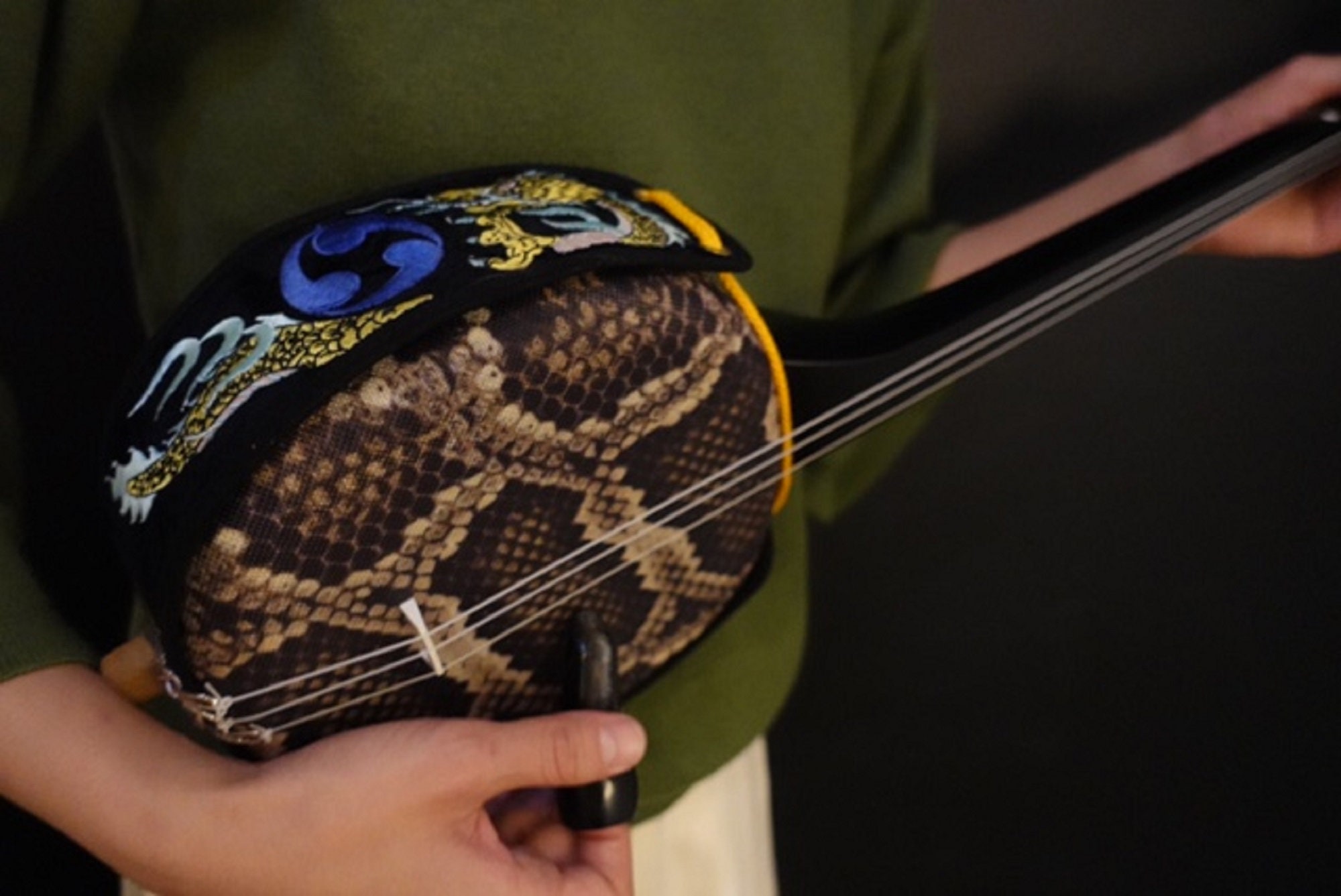 Okinawa Sanshin Okinawa Shamisen Okinawa Guitar Japanese Shamisen ...