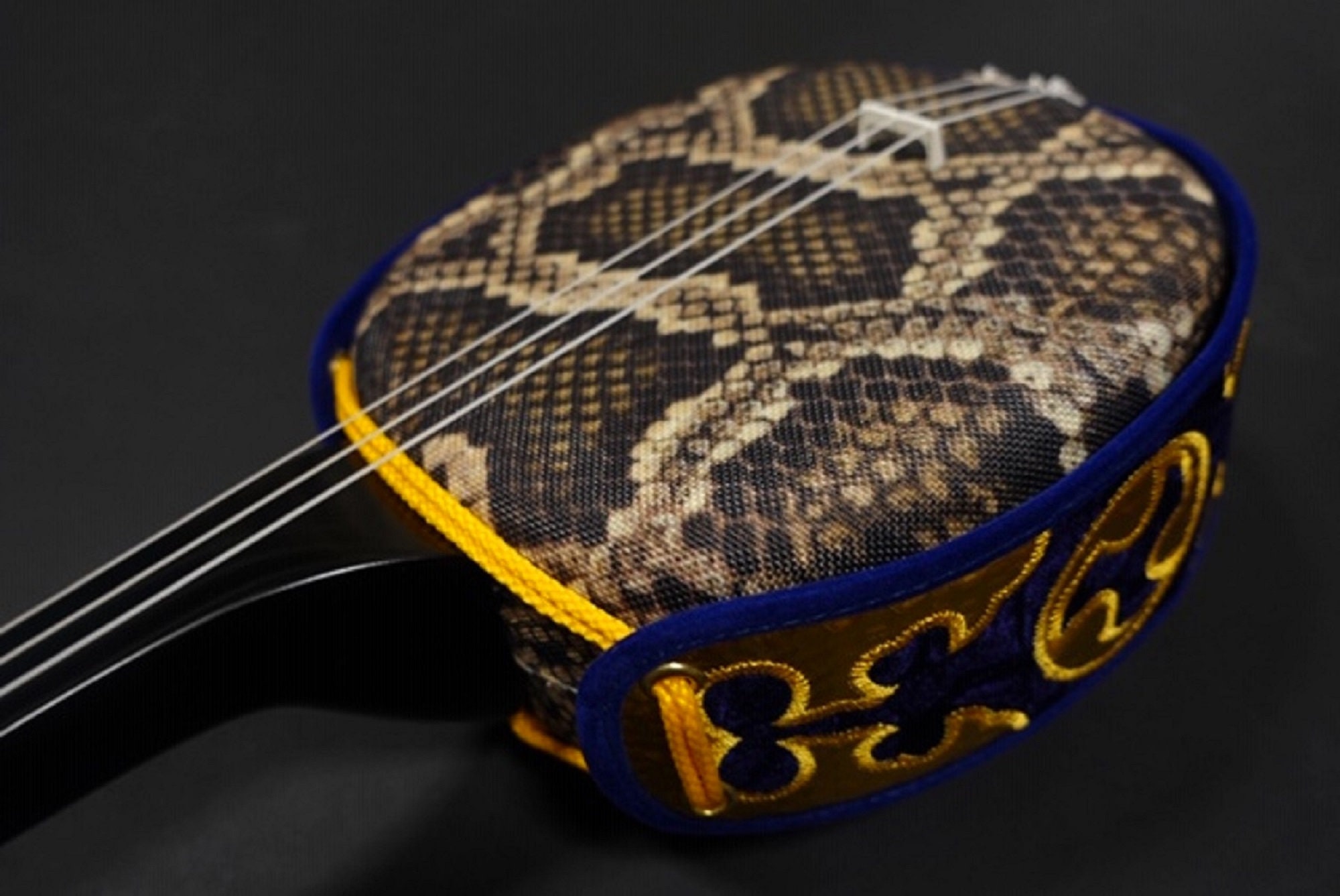 Okinawa Sanshin Okinawa Shamisen Okinawa guitar Japanese | Etsy