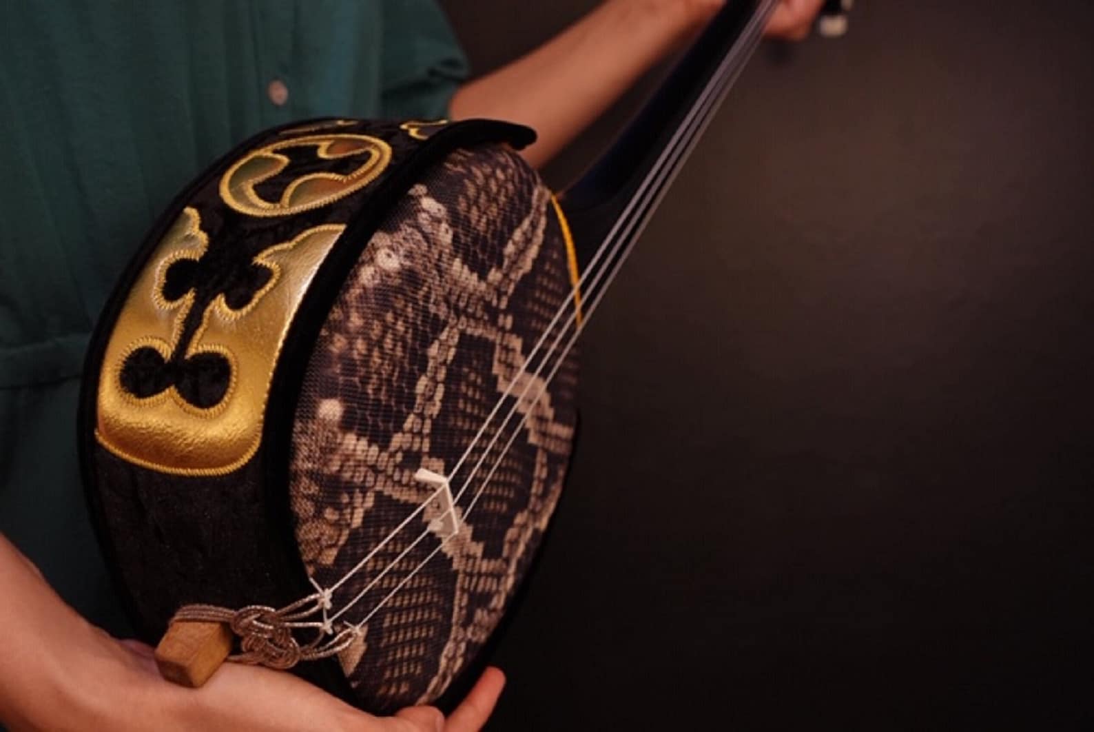 Okinawa Sanshin Okinawa Shamisen Okinawa Guitar Japanese Shamisen ...