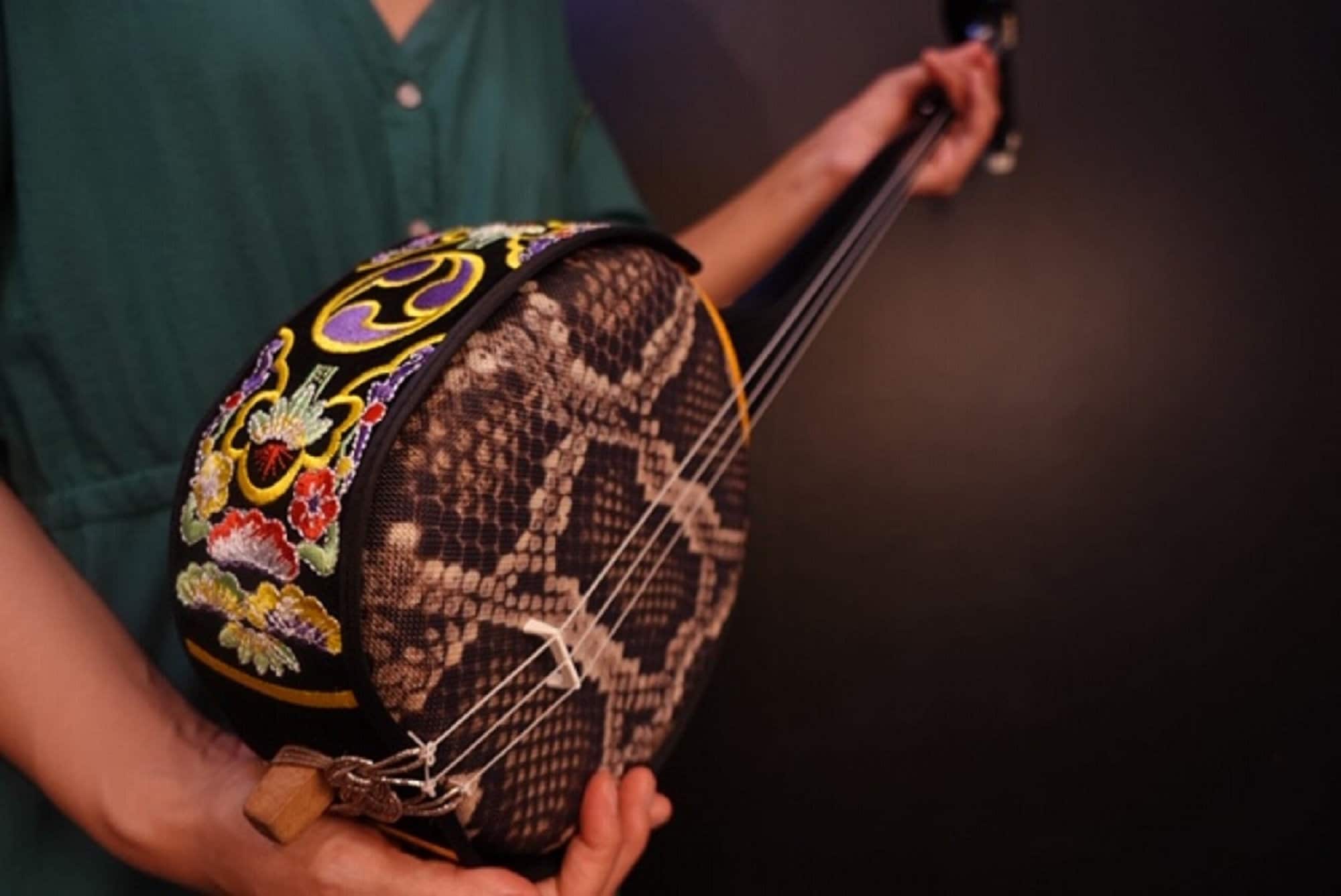Okinawa Sanshin Okinawa Shamisen Okinawa Guitar Japanese Shamisen ...