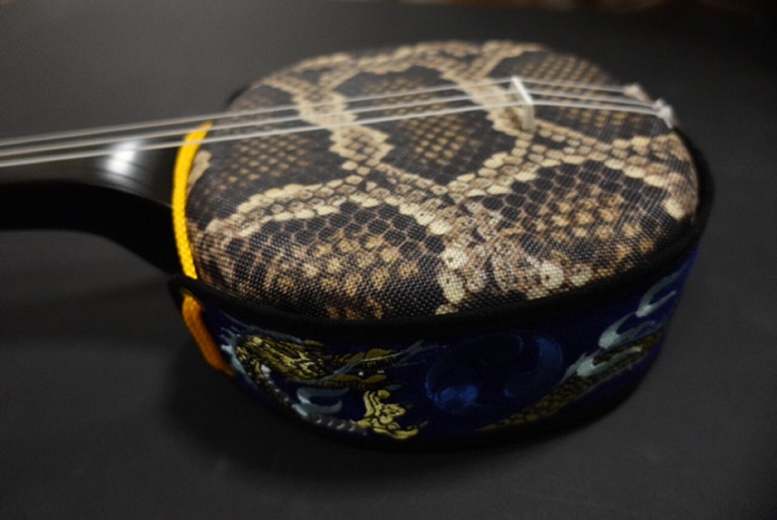 Okinawa Sanshin Okinawa Shamisen Okinawa Guitar Japanese Shamisen ...