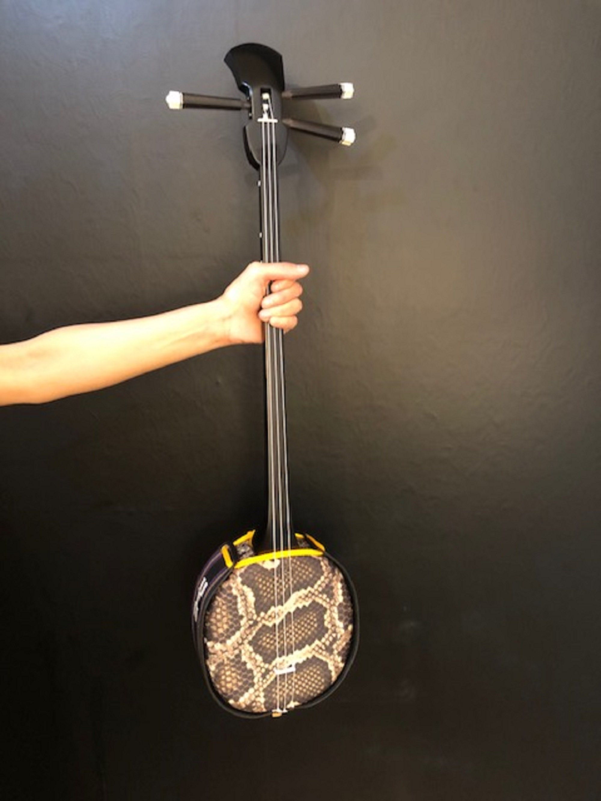 Okinawa Sanshin Okinawa Shamisen Okinawa guitar Japanese | Etsy