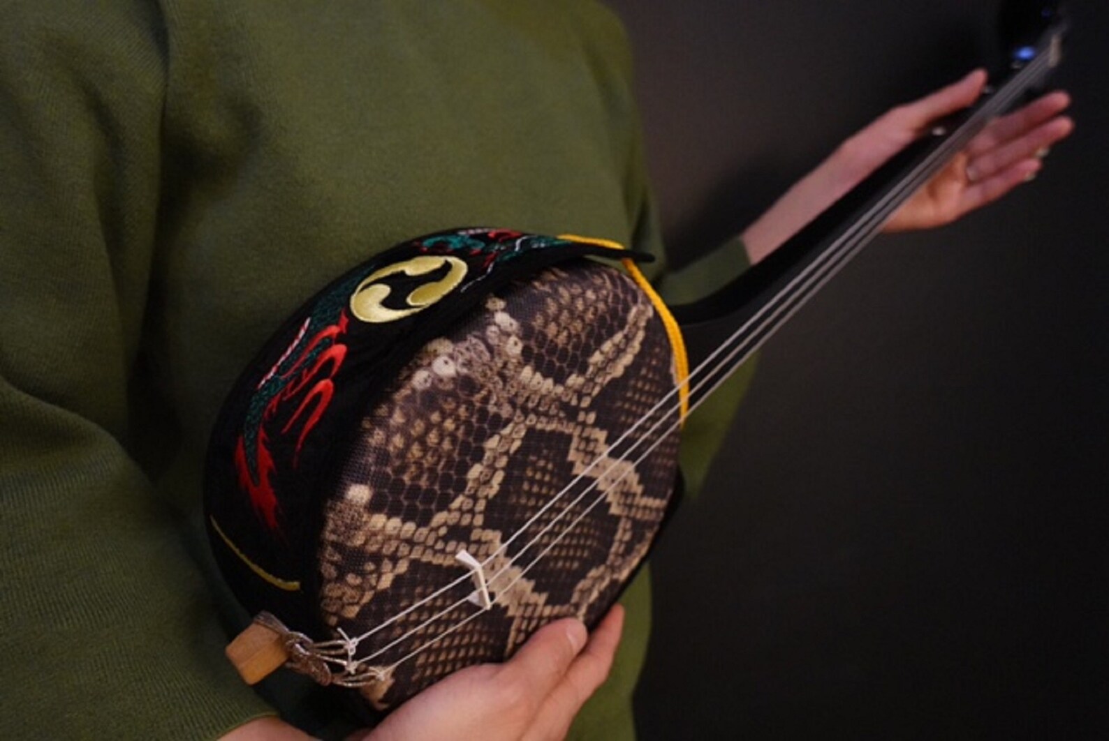 Okinawa Sanshin Okinawa Shamisen Okinawa Guitar Japanese Shamisen ...