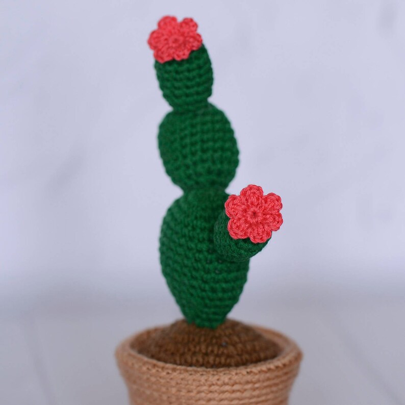 Cute Office Cactus Amigurumi Succulent Desk Plant Decor - Etsy