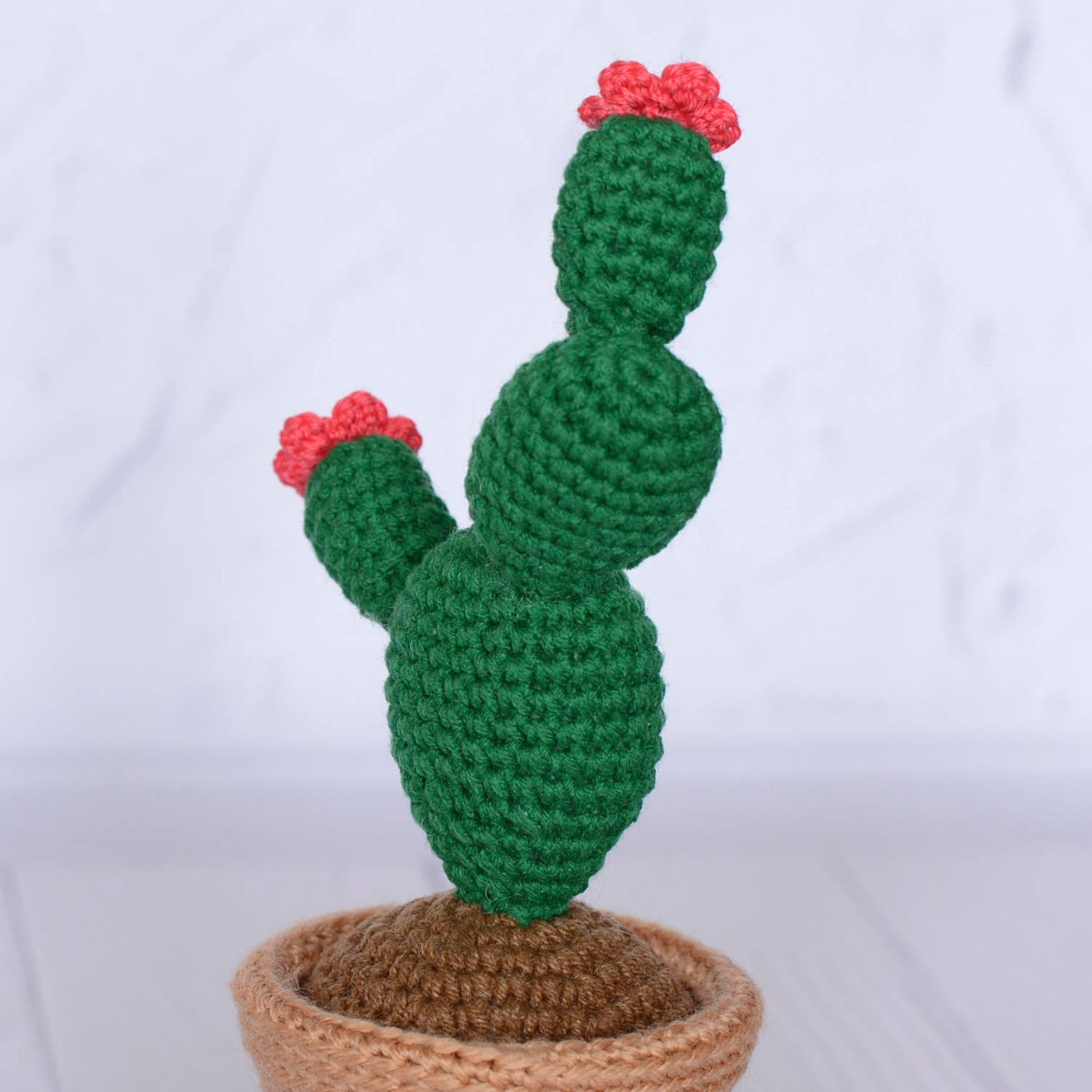 Cute Office Cactus Amigurumi Succulent Desk Plant Decor - Etsy