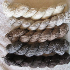 Navajo-churro Yarn - Etsy