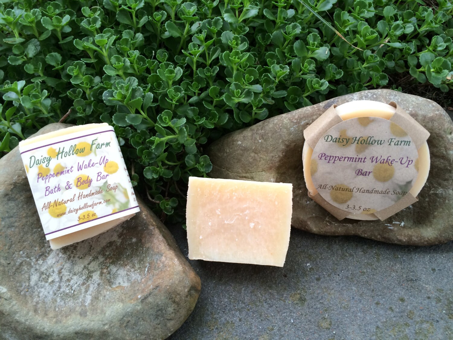 Peppermint Wake-up Bar - Etsy