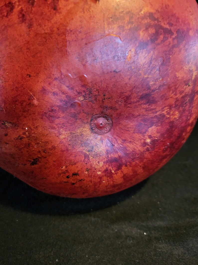 Handcrafted Gourd Bowl With Corn Shuck Hand Sewn Rim Leaf Motif - Etsy