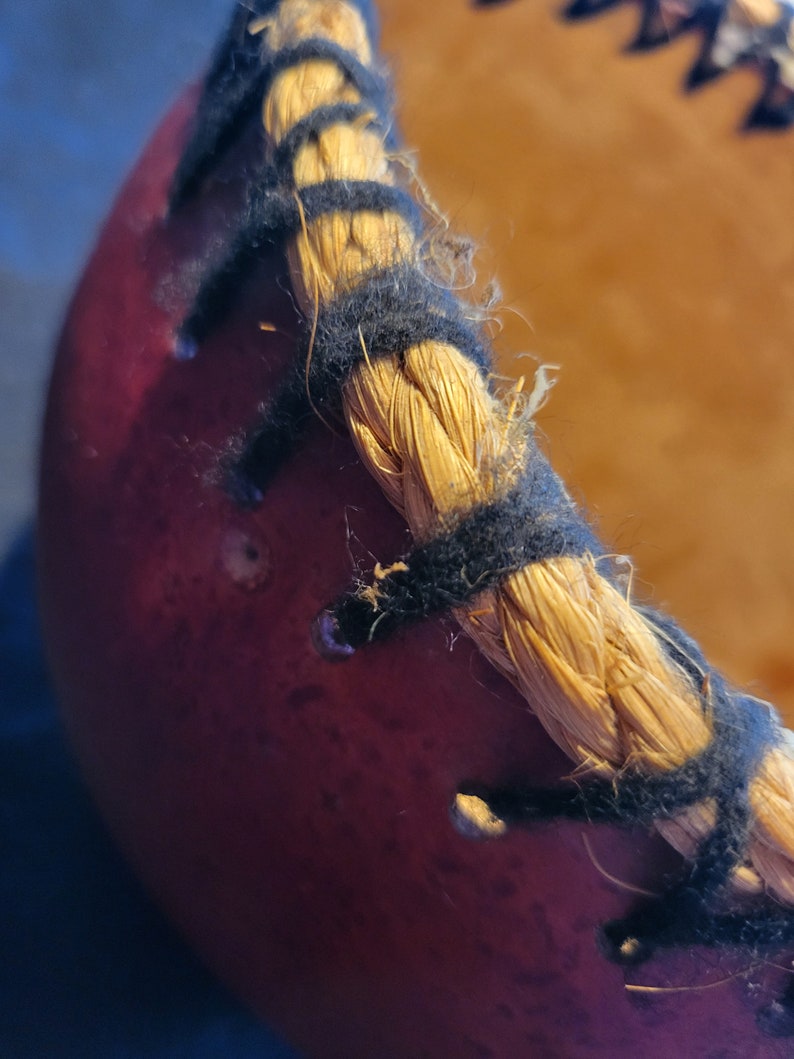 Handcrafted Gourd Bowl With Corn Shuck Hand Sewn Rim Leaf Motif - Etsy