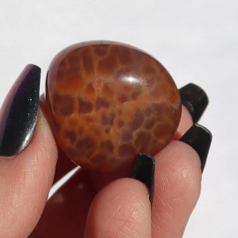 Snakeskin Agate - Etsy