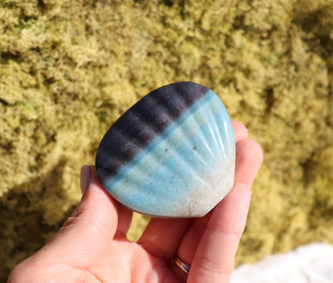 Trolleite Crystal Clam Shell Carving, Ocean Decor - Etsy