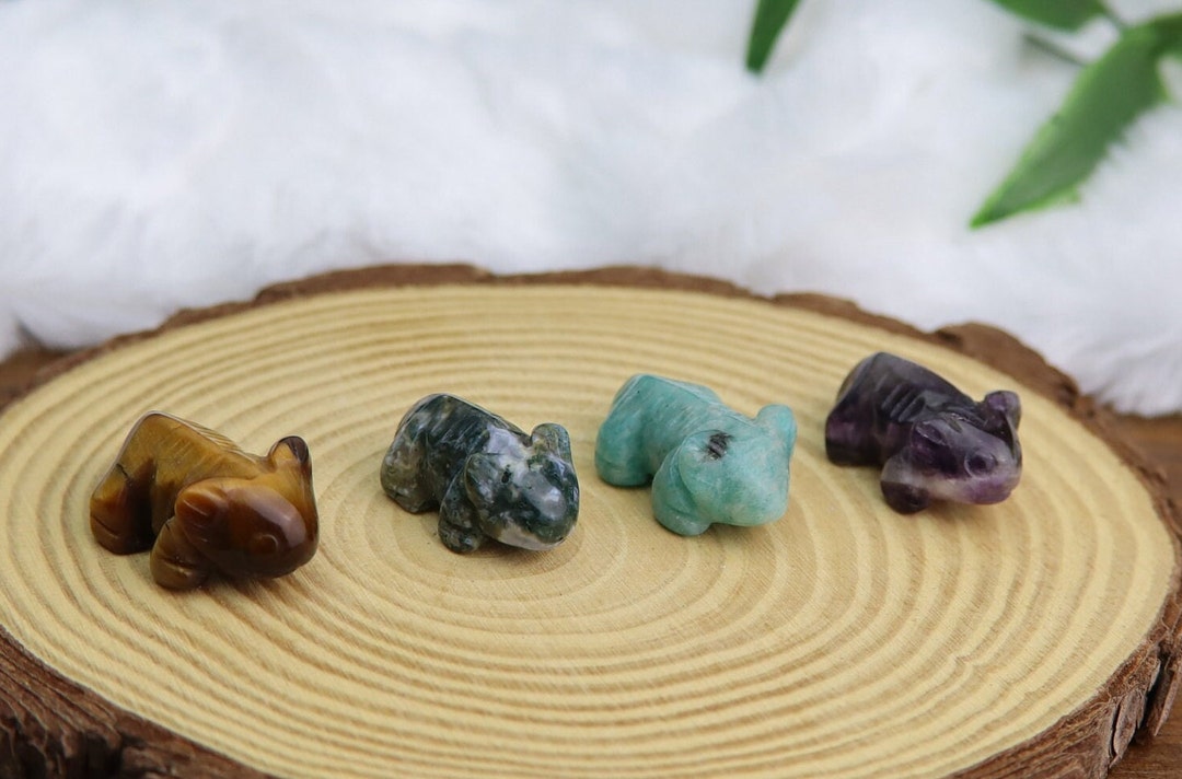 Mini Axolotl Crystal Carvings You Pick - Etsy