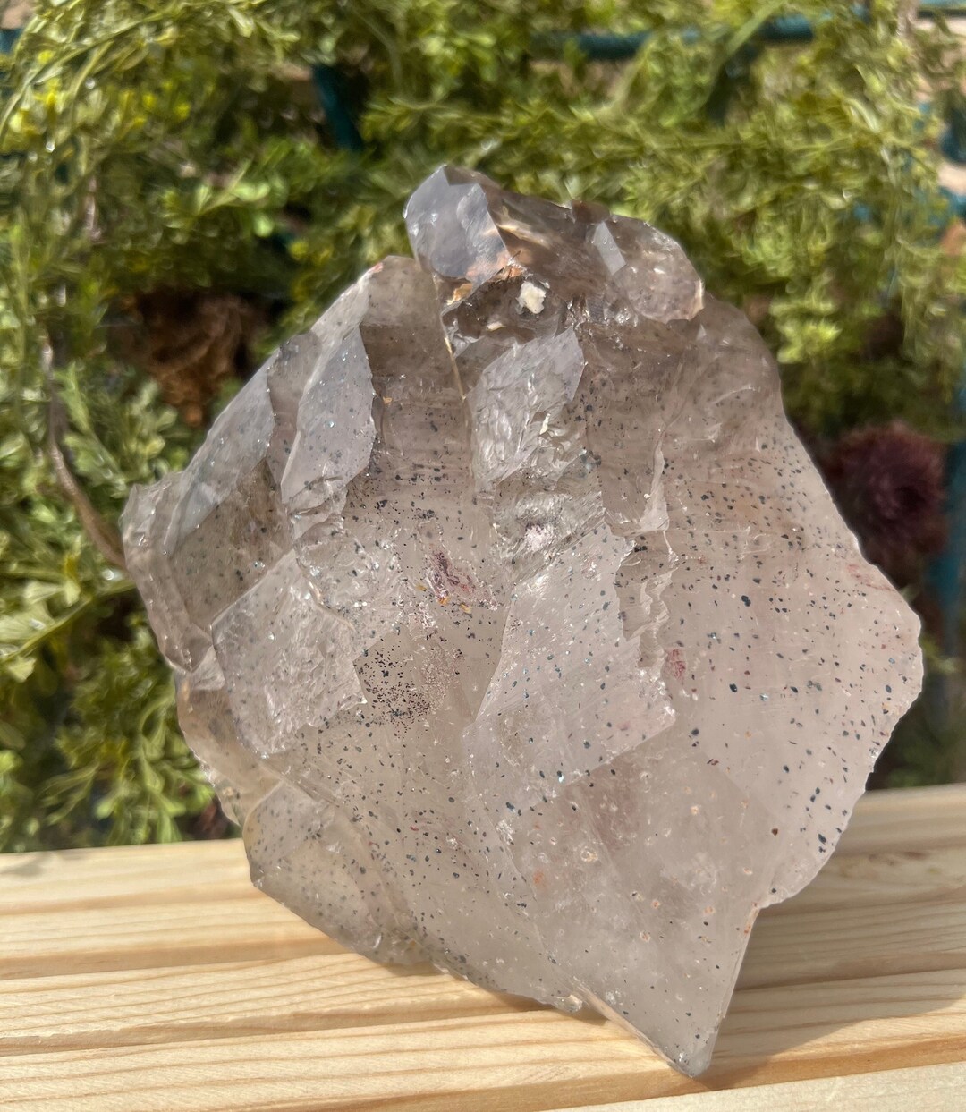 Skeletal Quartz Formation With Hematite Inclusions Raw Crystal Specimen ...