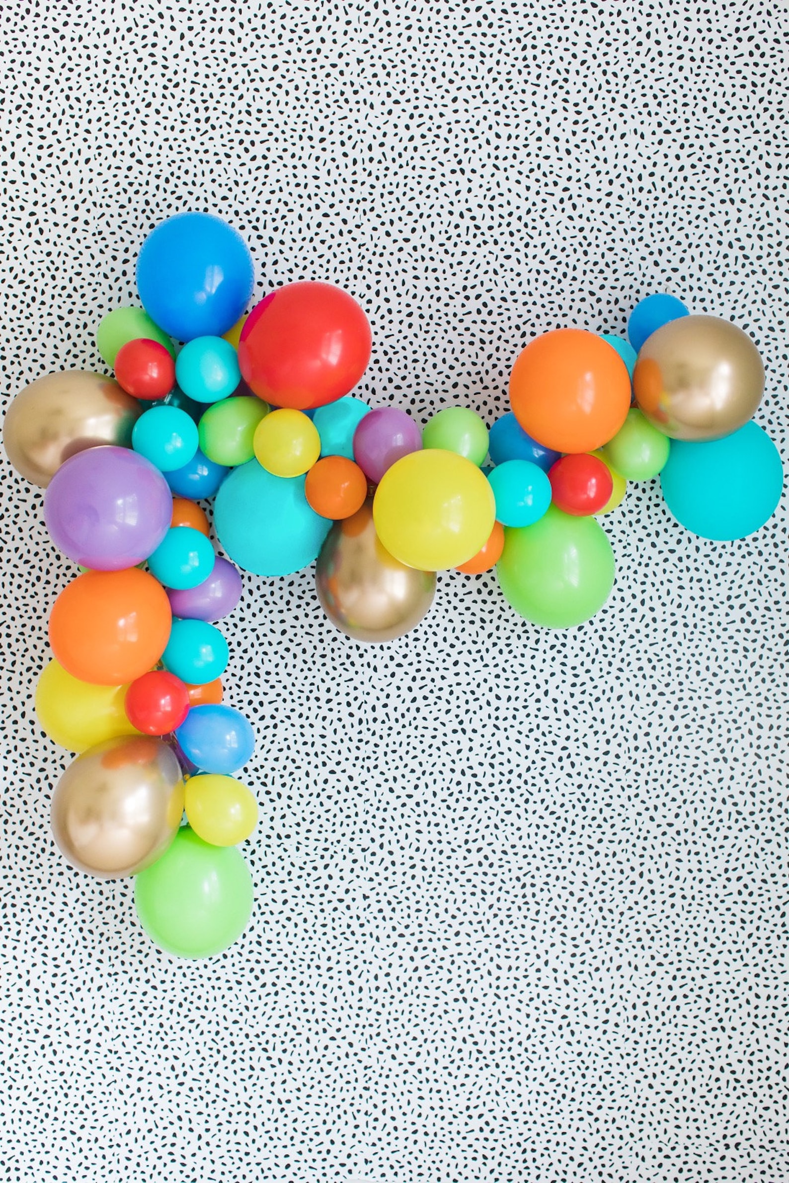 Party Animal Backdrop Party Animal Balloon Garland Party | Etsy