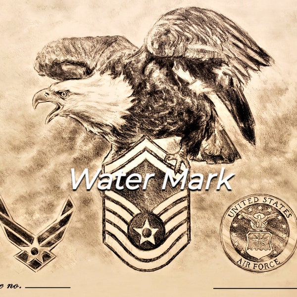 Air Force Promotion Certificate - Etsy Air Force Promotion Certificate - Etsy