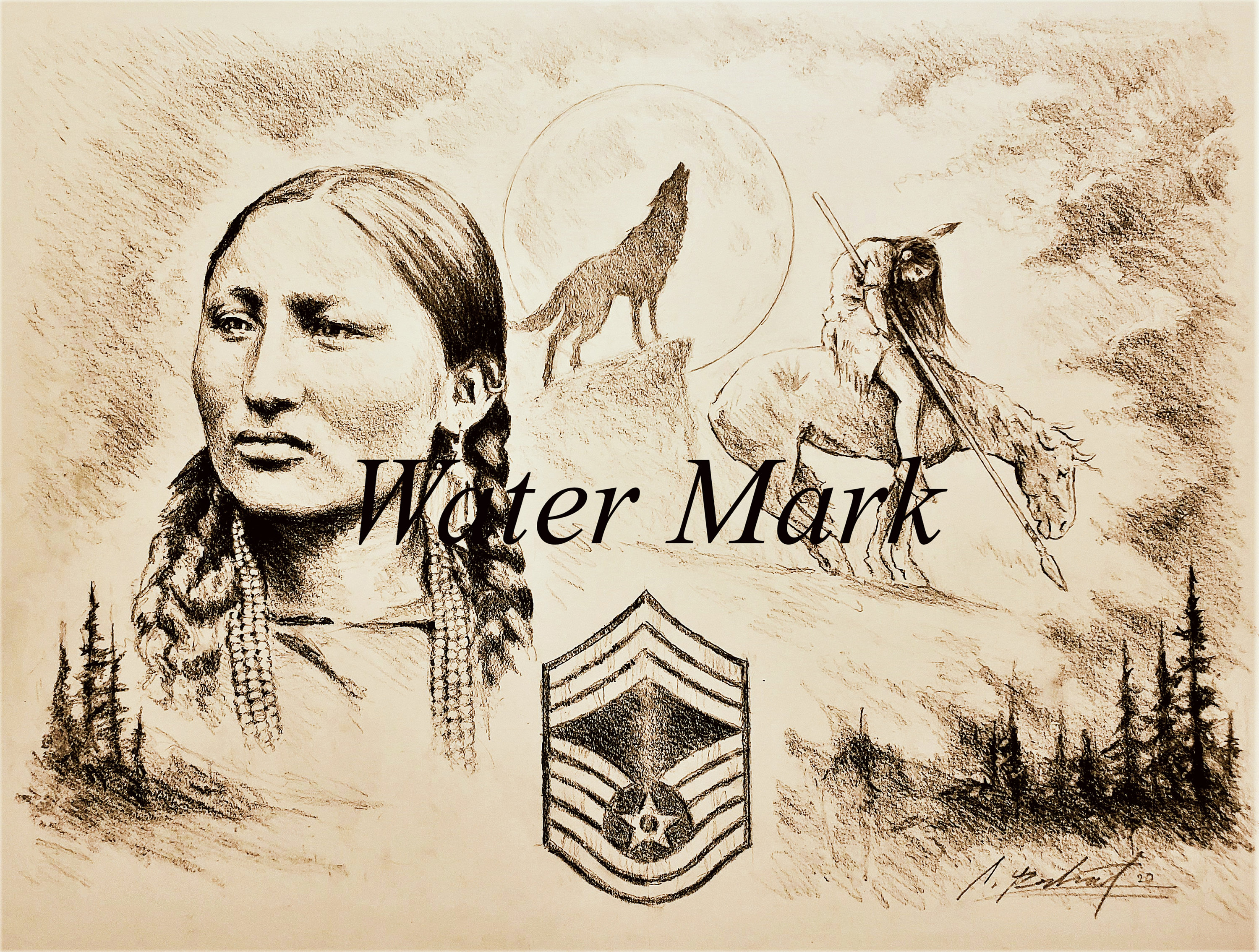 Chief Cmsgt Female Air Force "chief Pretty Nose" USAF Drawing ...