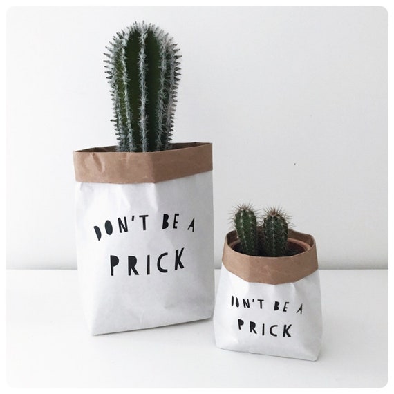 Don't Be a Prick Paper Bag Cactus Plant Pot Holder | Etsy UK