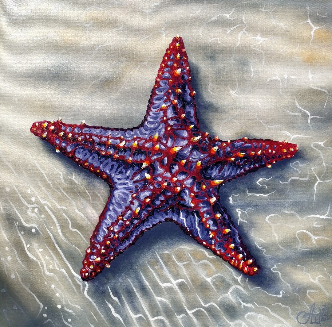 ORIGINAL Starfish Oil Painting on Canvas, a One-of-a-kind Nautical Art ...