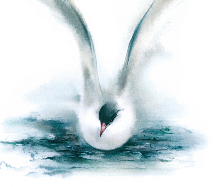 Common Tern Fine Art Print Watercolor 83 X 83 Inch - Etsy