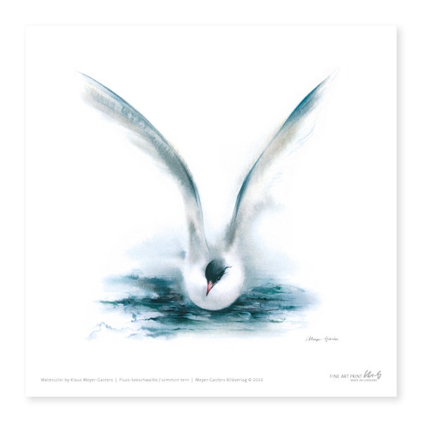Common Tern - Etsy