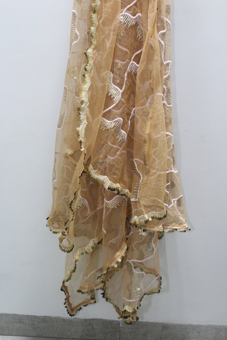 Peach Net Dupatta With Golden Sequins Motifs Gold Border Net | Etsy