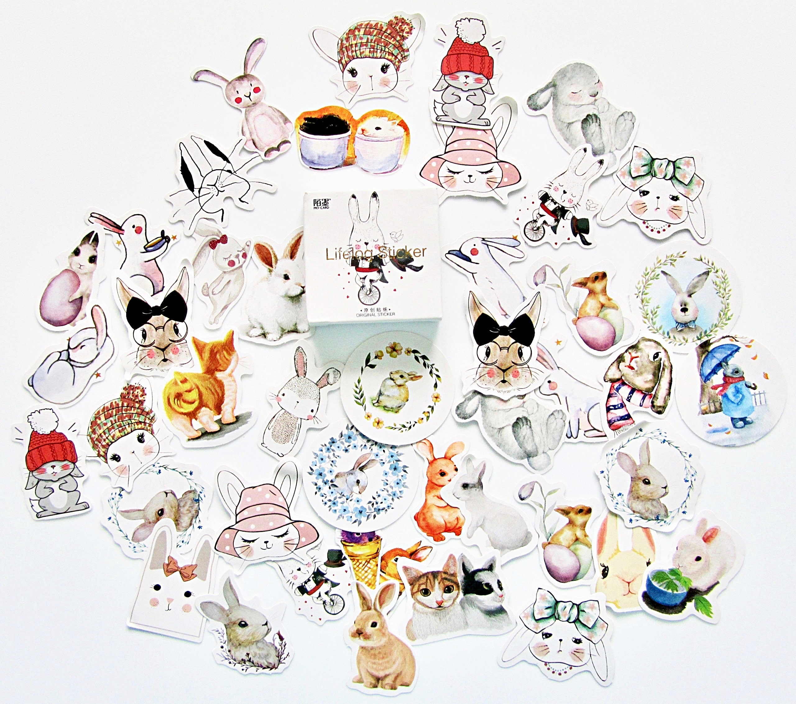 Bunny on a Unicycle Bike Rabbit Cute Kawaii Kitsch Box of | Etsy UK