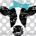 Cow SVG, Heifer Svg, Bandana, Svg, Grunge Svg, Farm Svg, SVG, Eps, Dxf ...