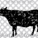 Cow SVG, Grunge Svg, Heifer Svg, Bull Svg, Farm, SVG, Eps, Dxf, Clip ...