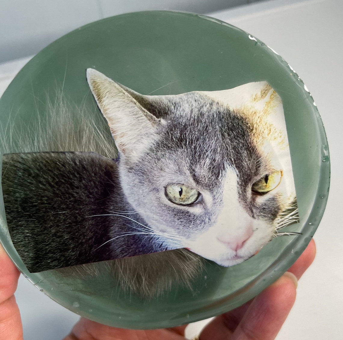 Pet Memorial Resin Customizable - Etsy
