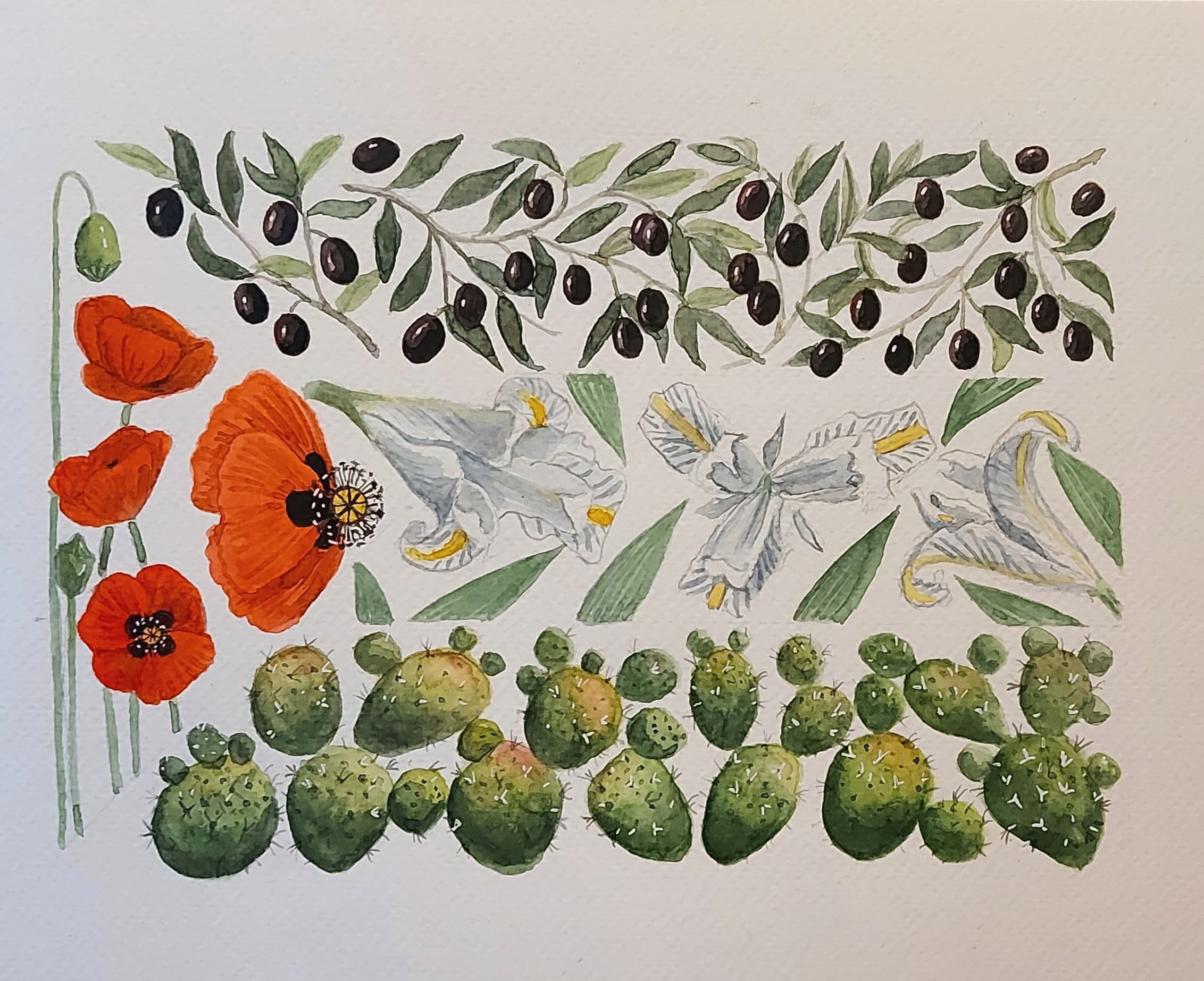 Flora of Palestine Flag Print A4 - Etsy