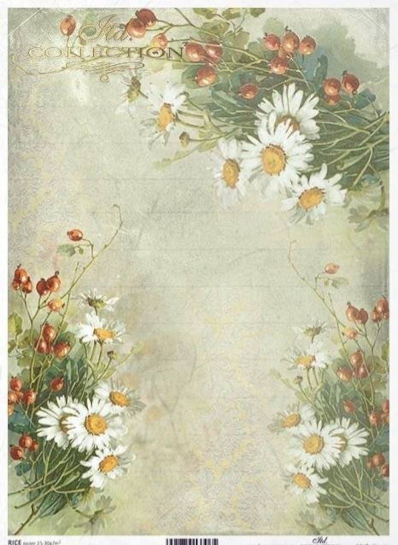 Rice Paper For Decoupage Single A4 Sheet Rustic Daisies And | Etsy
