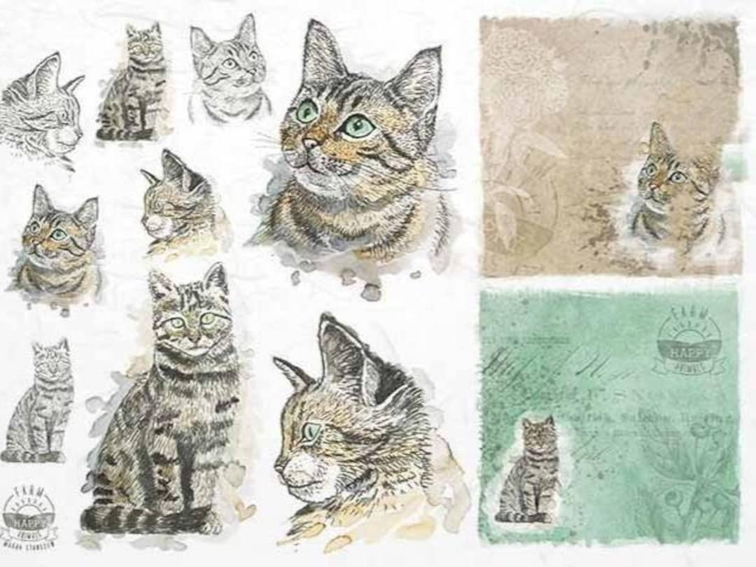 A4 Sheet of Rice Paper Single Sheet Multi Image Tabby Cats Decoupage ...