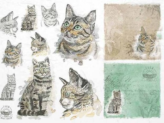 A4 Sheet of Rice Paper Single Sheet Multi Image Tabby Cats | Etsy UK
