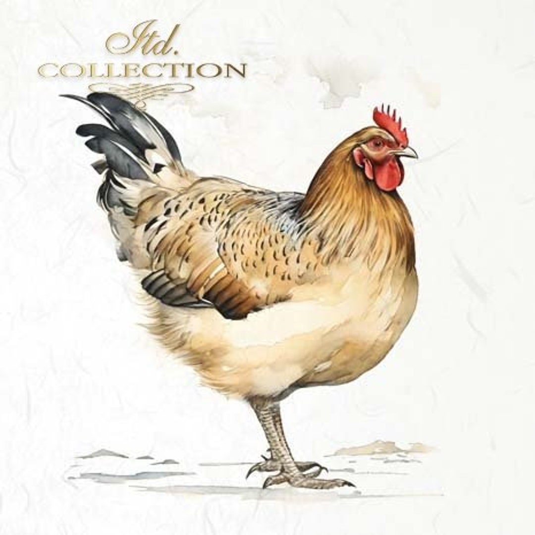 Mini Rice Paper, Single Sheet, Hen Rice Paper, Chicken Rice Paper ...