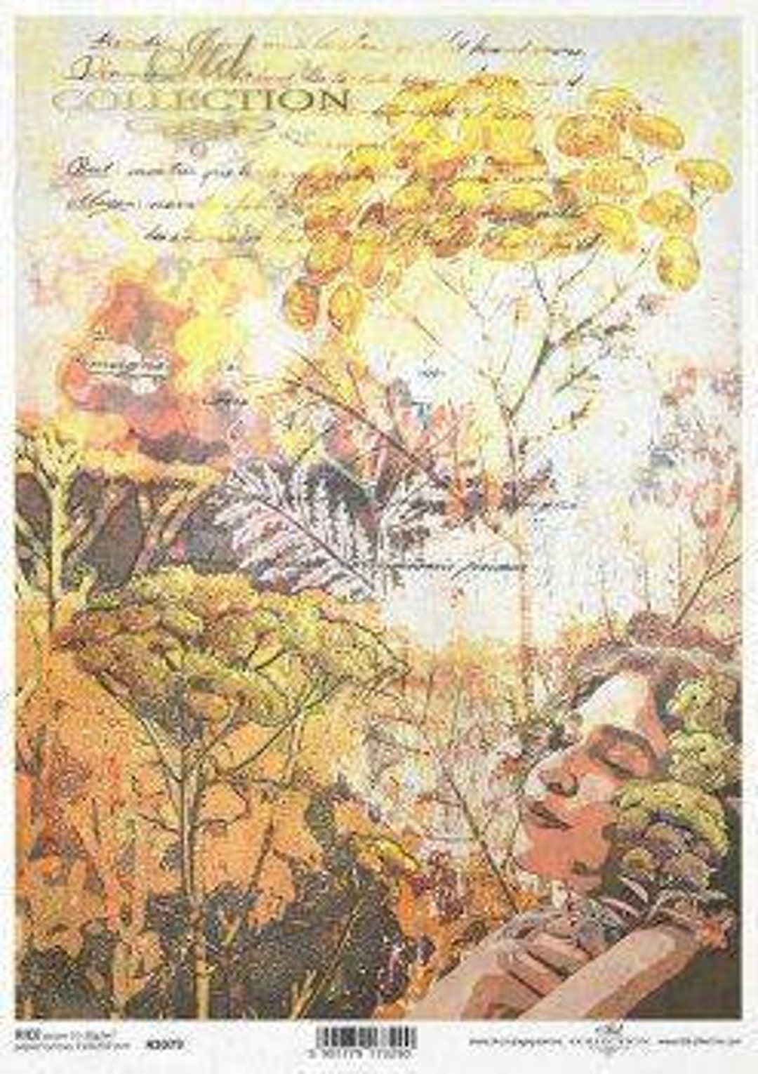Rice Paper for Decoupage, Single A4 Sheet, Autumn Foliage Face ...